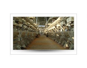 Bajaj Steel Industries LTD – SINCE 1961